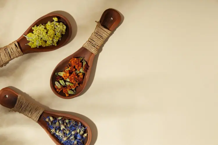 7 Herbs to Boost Your Bladder Health Naturally - Healthier Up