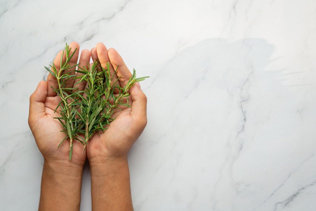 Rosemary Oil for Hair Growth: Nature’s Secret to Thicker Locks ...