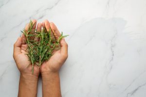 Rosemary Oil for Hair Growth: Nature’s Secret to Thicker Locks ...