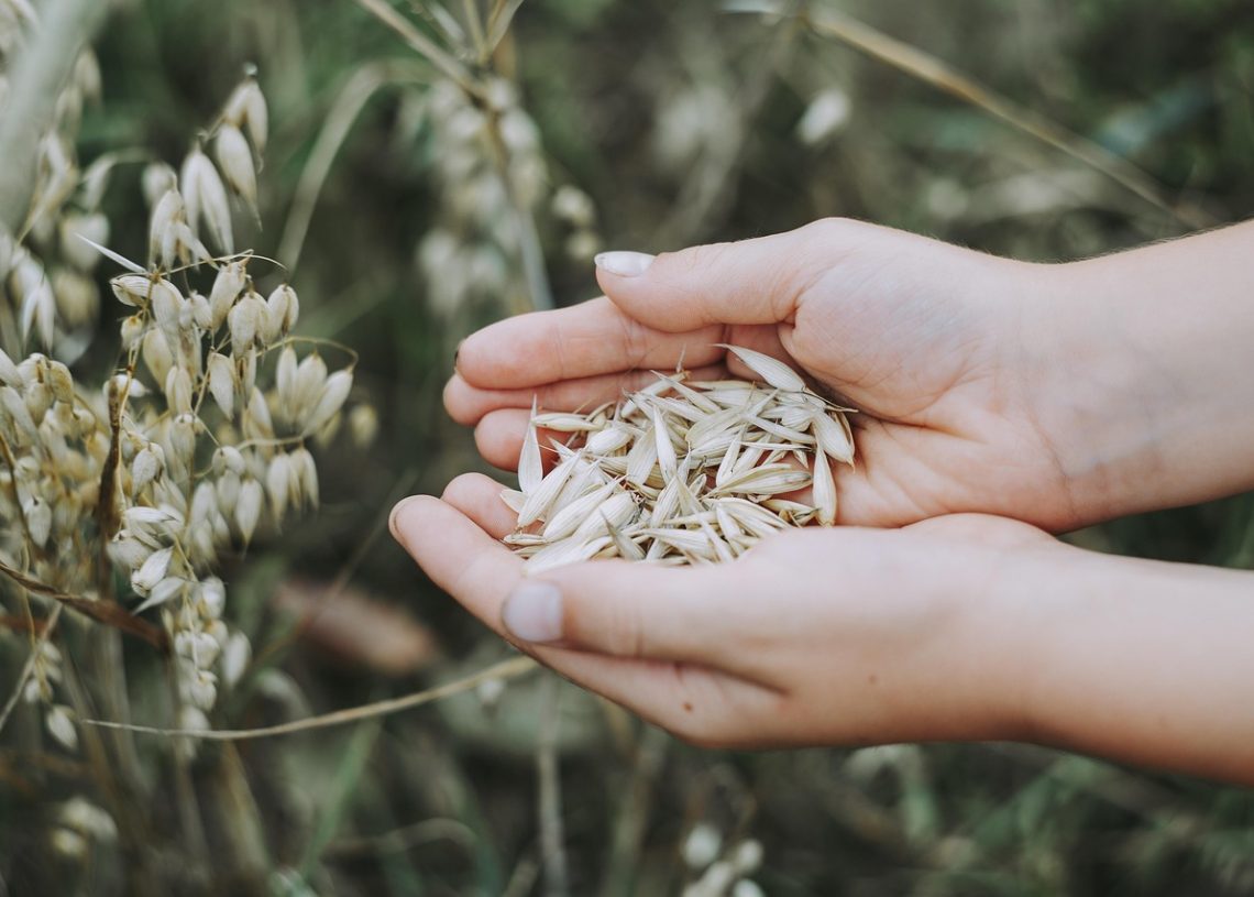 Oily Poop? 7 Alarming Reasons You Shouldn’t Ignore This Gut Warning